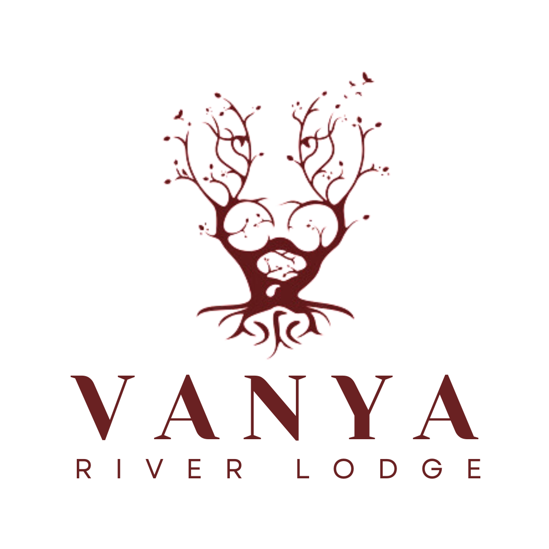 Jim Corbett Stargazing River Resort Hotels | Ramnagar (Uttarakhand ...